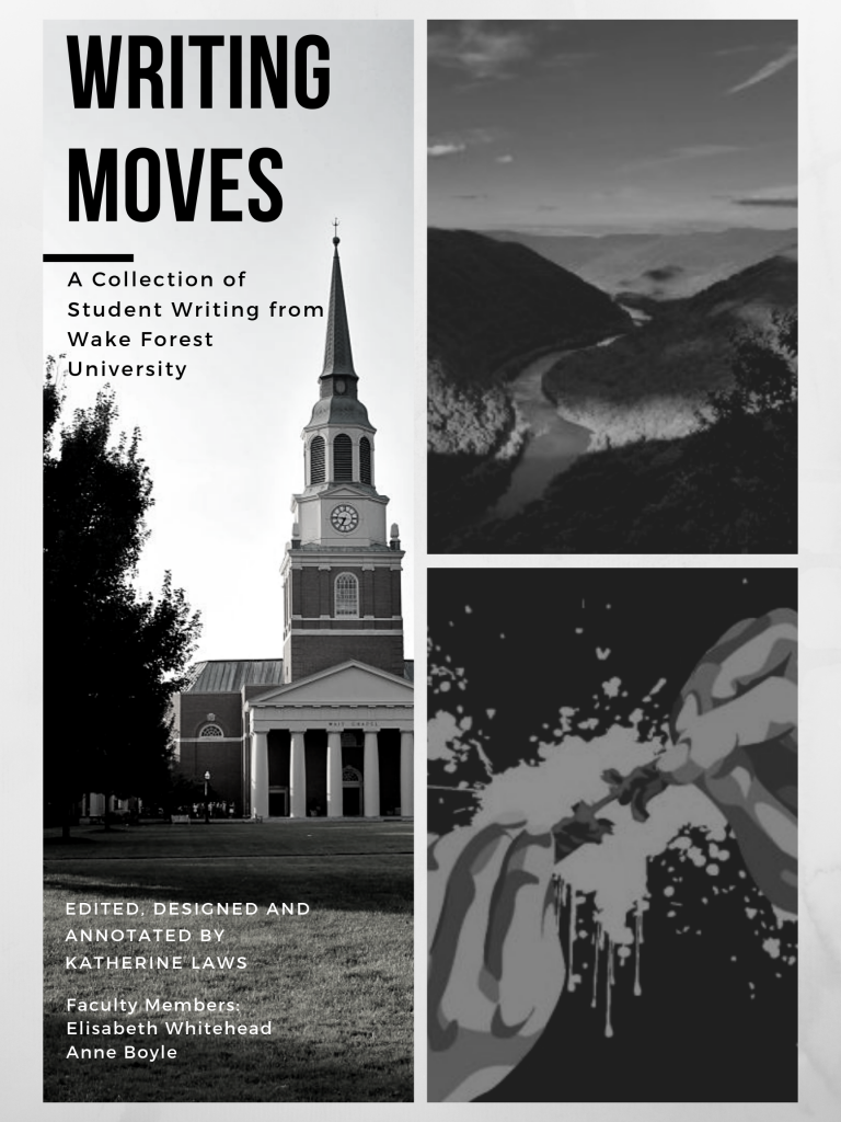 Past Issues – Writing Moves